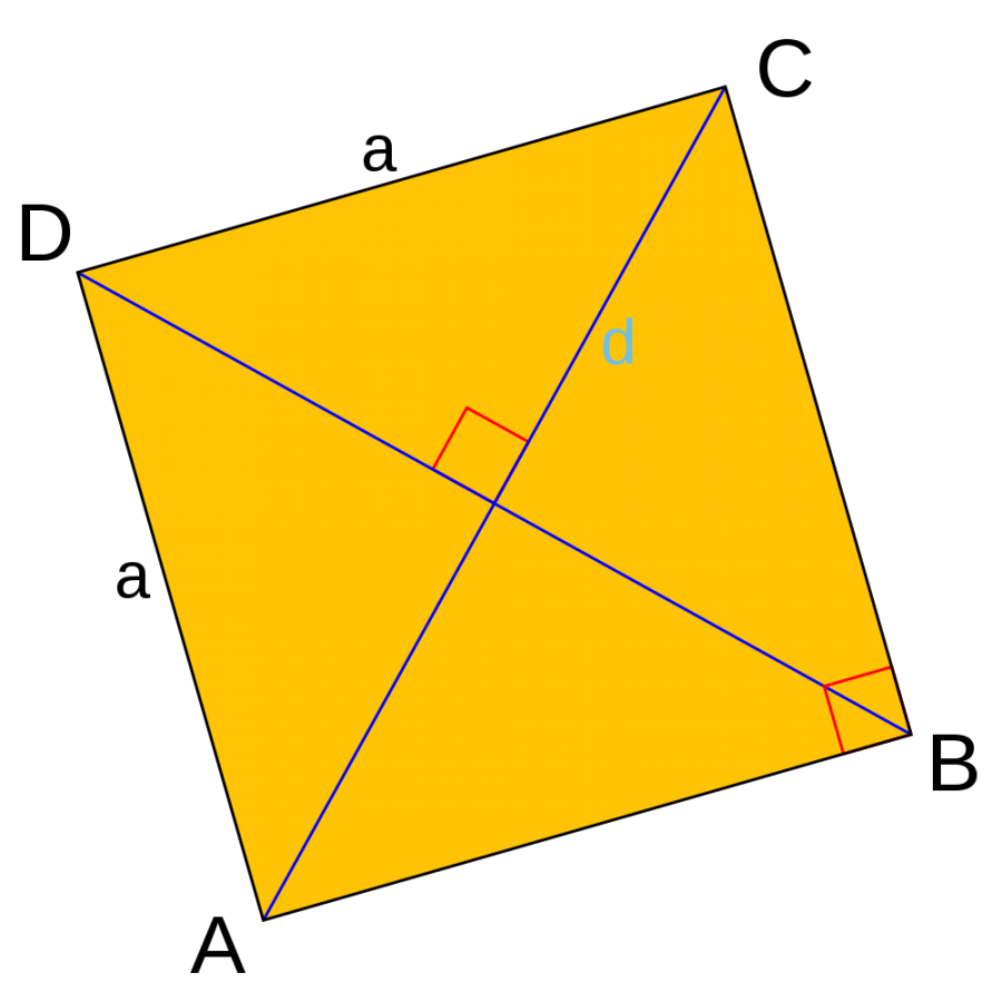 Fil:1000px-Square - geometry.svg.png - Wikiskola